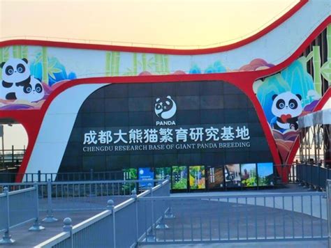 Where In The World Can You See Giant Pandas