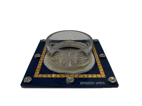 In Vitro Models Tbi And Spi Research — Stretchable Microelectrode