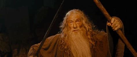 Lotr  Find And Share On Giphy You Shall Not Pass Gandalf Lord Of