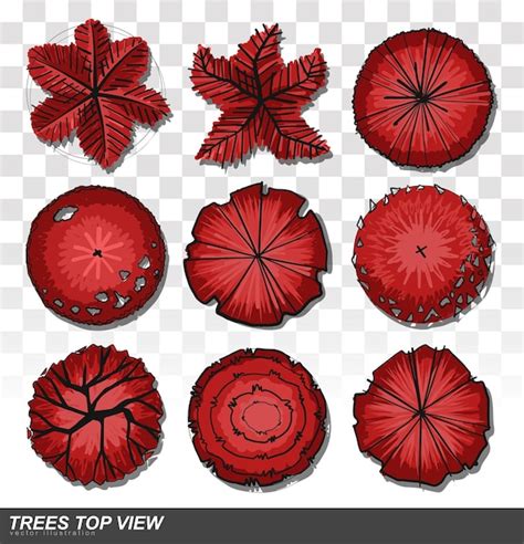 풍경 디자인 터 일러스트레이션의 나무 상단 뷰 세트 프리미엄 벡터