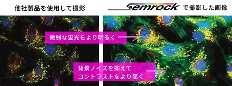 Semrockの光学フィルター Evort エボルト