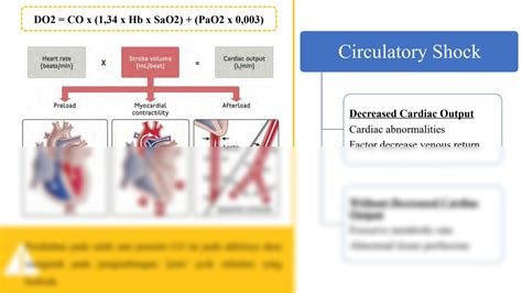 SOLUTION Mechanism Of Hypovolemic Shock Studypool