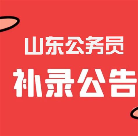招聘招考 山东人才就业网