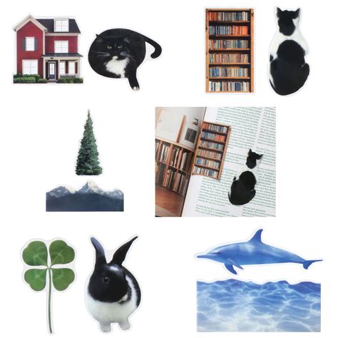 팬시용품 비온뒤 반투명 책갈피 세트 1개 고양이 토끼 돌고래 위시버킷