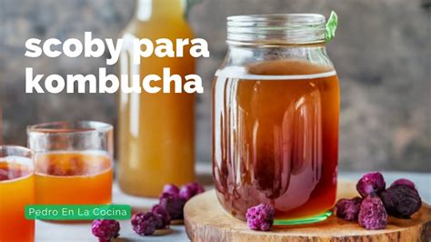 Kombucha Qué Es Cómo Se Hace Y Por Qué Es Peligroso Nqnbfz