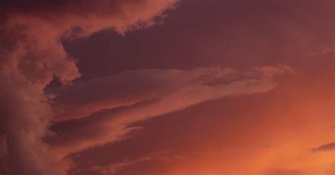 Transfer Squarespace Domain To Wordpress 13 Expert Answers For Success