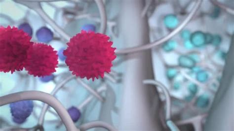 247 Lymph Node Videos Royalty Free Stock Lymph Node Footage Depositphotos