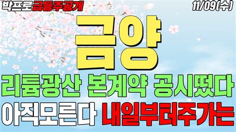 금양주가전망 금양리튬광산 본계약ㅣ금양주가전망 금양분석 금양주식 금양주가 금양배터리 금양급락 금양실적 금양전환사채 금양전망