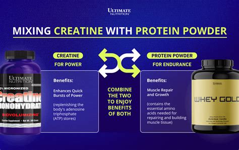 Can You Mix Creatine With Protein Powder Ultimate Nutrition