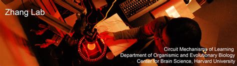 Automated Cell Annotation In Multi Cell Images Using An Improved Crfid Algorithm Zhang Lab