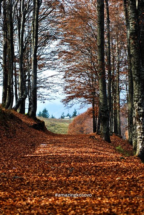 Amazing Kosovo Malet E Sharrit Shtrihen Në Juglindje Të Facebook