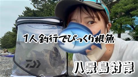 八景島対岸1人釣行で大物ゲット20センチ超えギリの根魚釣れました YouTube