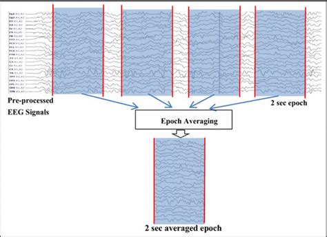 Eeg Signal Epoching And Averaging Download Scientific Diagram