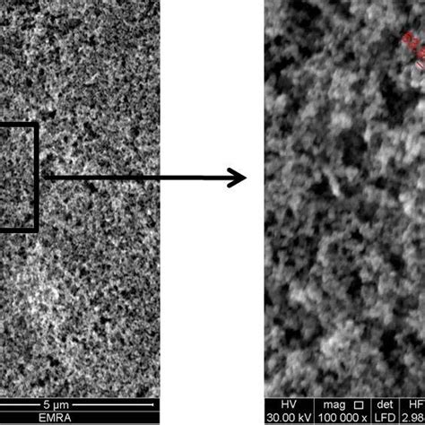 Sem Images Showing The Nano Length Hierarchical Structure Of The