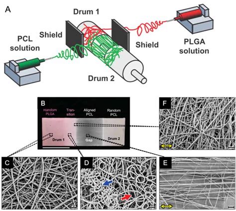 Fabricating And Morphology Of 2d Meshes By Electrospinning A Two
