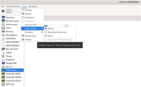 resolution auto resize vm with windows greyed out since graphics