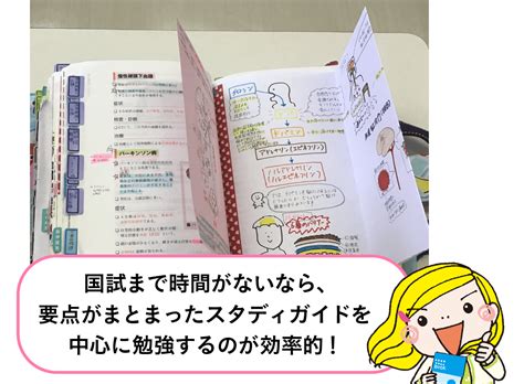 看護学生スタディガイドとは プチナースWEB