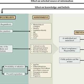 Representation Of The Conceptual Model The Variables Of Age Sex Download Scientific Diagram