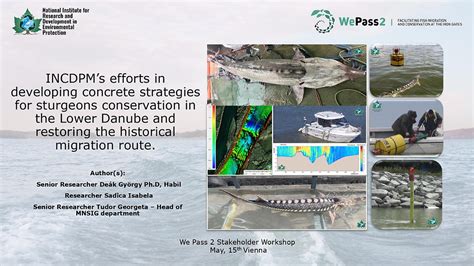 Incdpms Efforts In Developing Concrete Strategies For Sturgeons Conservation In The Lower