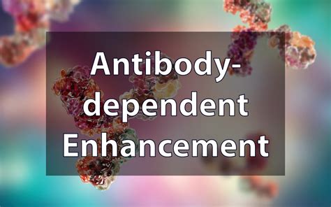 Antibody Dependent Enhancement Virology Research Services