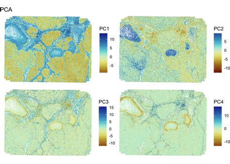 Github Elena983merscope Spatial Analysis Spatial Analysis Merscope Example Data