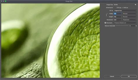 Ppi Dpi And Image Resolution Onestop Tampa Print Shop