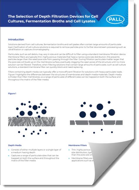 Depth Filtration Example At Ronald Piper Blog