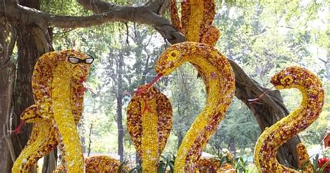 Call For Crowdfunding T T L X Campaign Bitcoinsaigon Org