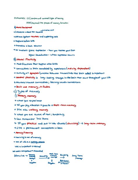 Lecture Memory And Learning Studocu