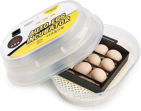 6 Best Chicken Egg Incubators Classroom Diy