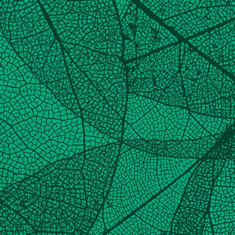 Mass Timber Perkinsandwill