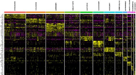 Table 1 From Single Cell Transcriptome Analysis Identifies Subclusters With Inflammatory