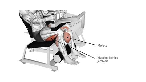 How To Do Leg Curls Over Perfect Form Knee Safe Variations