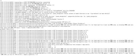 cannot start triton servers following default instructions · issue