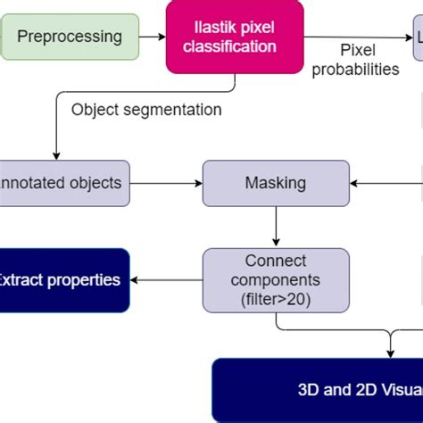 Flowchart Of The Data Analysis Pipeline As Described In Section