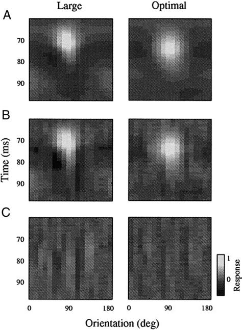 A And B Shows Orientation Tuning Dynamics For Two Cells At The Two Download Scientific