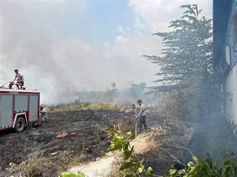 លួចដុតអតីតទីតាំងរោងចក្រ ផលិត អាល់កុល និងកែ ច្នៃសារធាតុ គីមី ផ្សំ