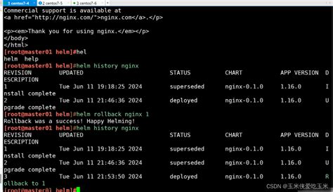 【kubernetes】k8s中包管理工具 helm 超详细解读 csdn博客