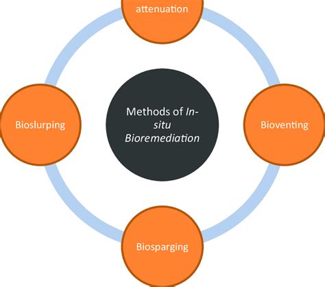 Methods Of In Situ Bioremediation Download Scientific Diagram
