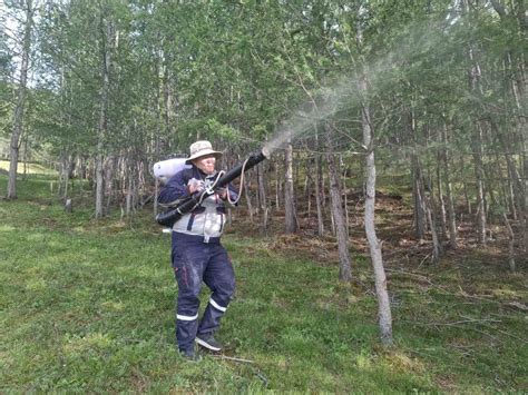 Байгаль Байгаль орчин уур амьсгалын өөрчлөлтийн яам