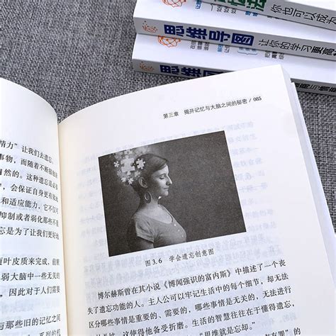最強大腦 魔法記憶法 思維導圖 思維風暴4冊套裝
