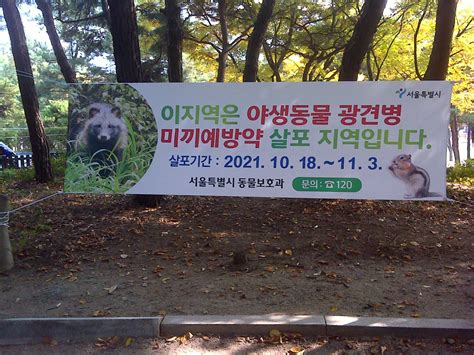 손대지 마세요 서울시 야생동물 이미지 이투데이