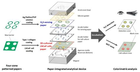 Chemosensors Mdpi On Linkedin Article Recommendation Paper Cancer Cells Colorimetric