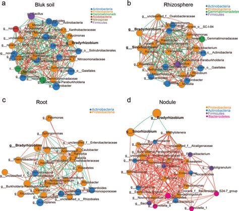 Microbial Interaction Networks In The Different Compartments The