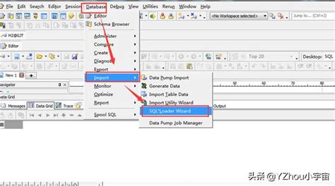 Oracle Tns Toad For Oracle Csdn