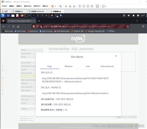 漏洞扫描技术 zaproxy csdn博客