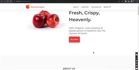 Shobhit Mittal On Linkedin Internshipsuccess Htmlcss Webdevelopment