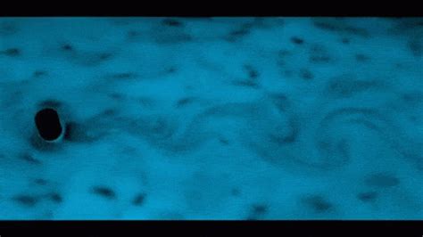 Flow Visualization Gifs WiffleGif