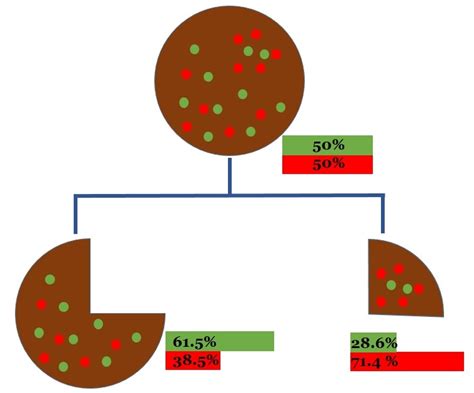 Decision Tree Cart Retail Case Study Example