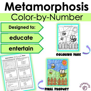 Complete Incomplete Metamorphosis Color By Number Diagram Cut Paste